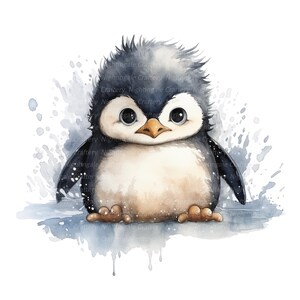 10 Grumpy Penguin Clipart, Cute Penguin Clipart, Digital Clipart ...