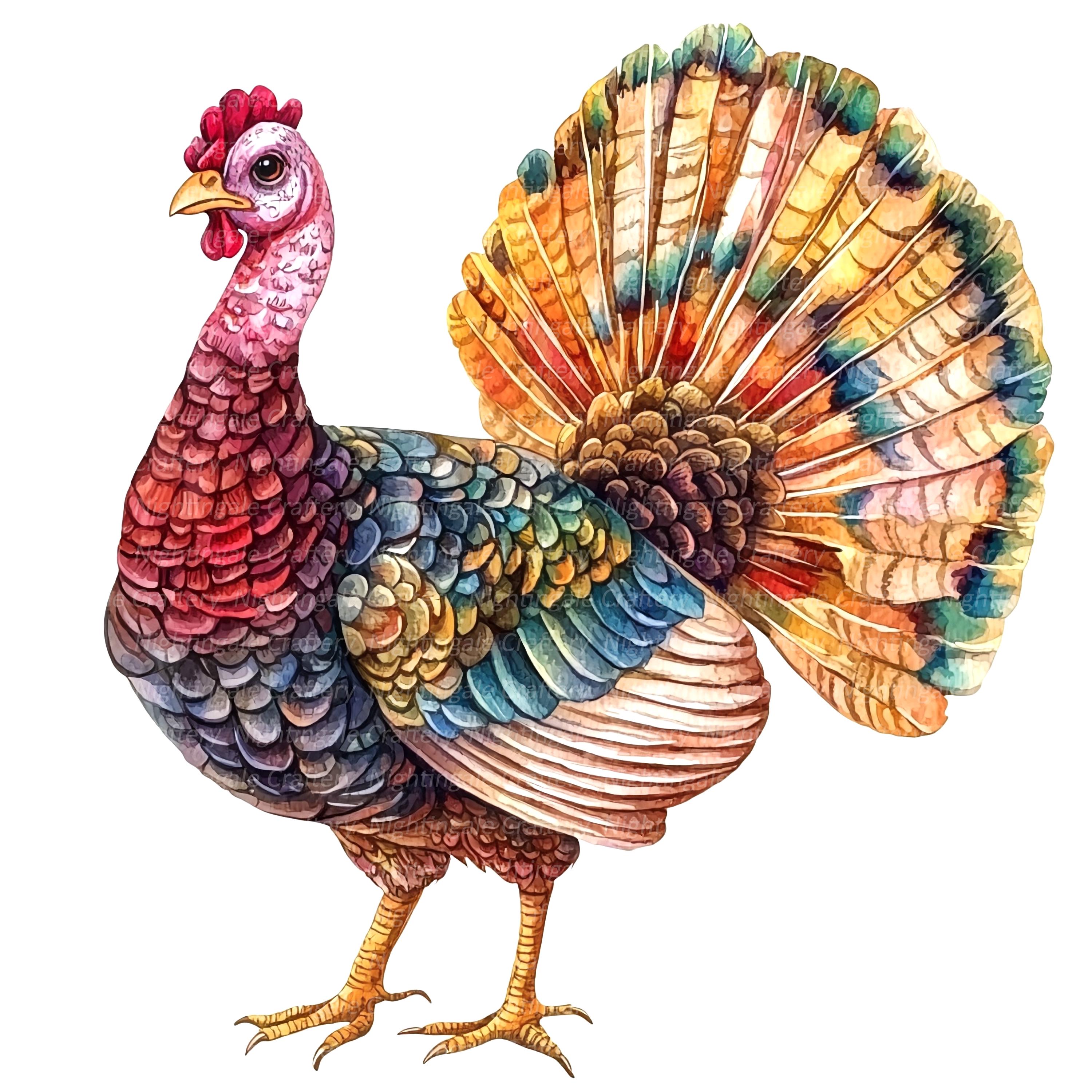 10 Thanksgiving Turkey Clipart, Thanksgiving Print, Printable ...