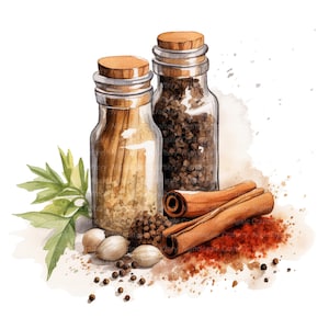 13 Spice Bottles Clipart, Kitchen Spices Clipart, Digital Clipart ...