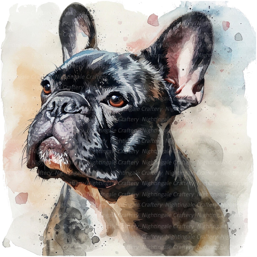 10 French Bulldog Clipart, Watercolor Bulldog, Printable Watercolor ...