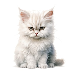 12 Grumpy Sad Kitten Clipart, Cat Clipart, Printable Watercolor Clipart ...