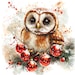 9 Christmas Owl Clipart Set 2, Christmas Card, Printable Watercolor ...
