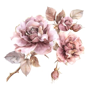 11 Pink Gold Rose Clipart, Pink Rose Stem, Printable Watercolor Clipart ...