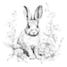 10 Bunny Black Ink Clipart, Line Art Clipart, Printable Watercolor ...
