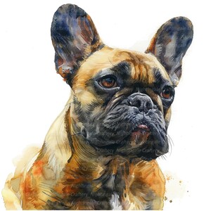 10 French Bulldog Clipart, Watercolor Bulldog, Printable Watercolor ...