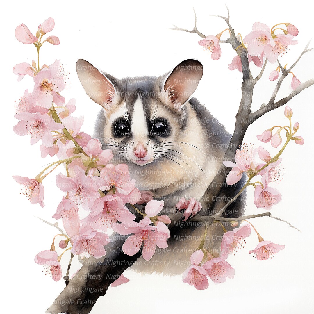Sugar Glider Clipart, Printable Watercolor Clipart, 10 High Quality ...