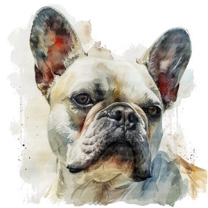 10 French Bulldog Clipart, Watercolor Bulldog, Printable Watercolor ...
