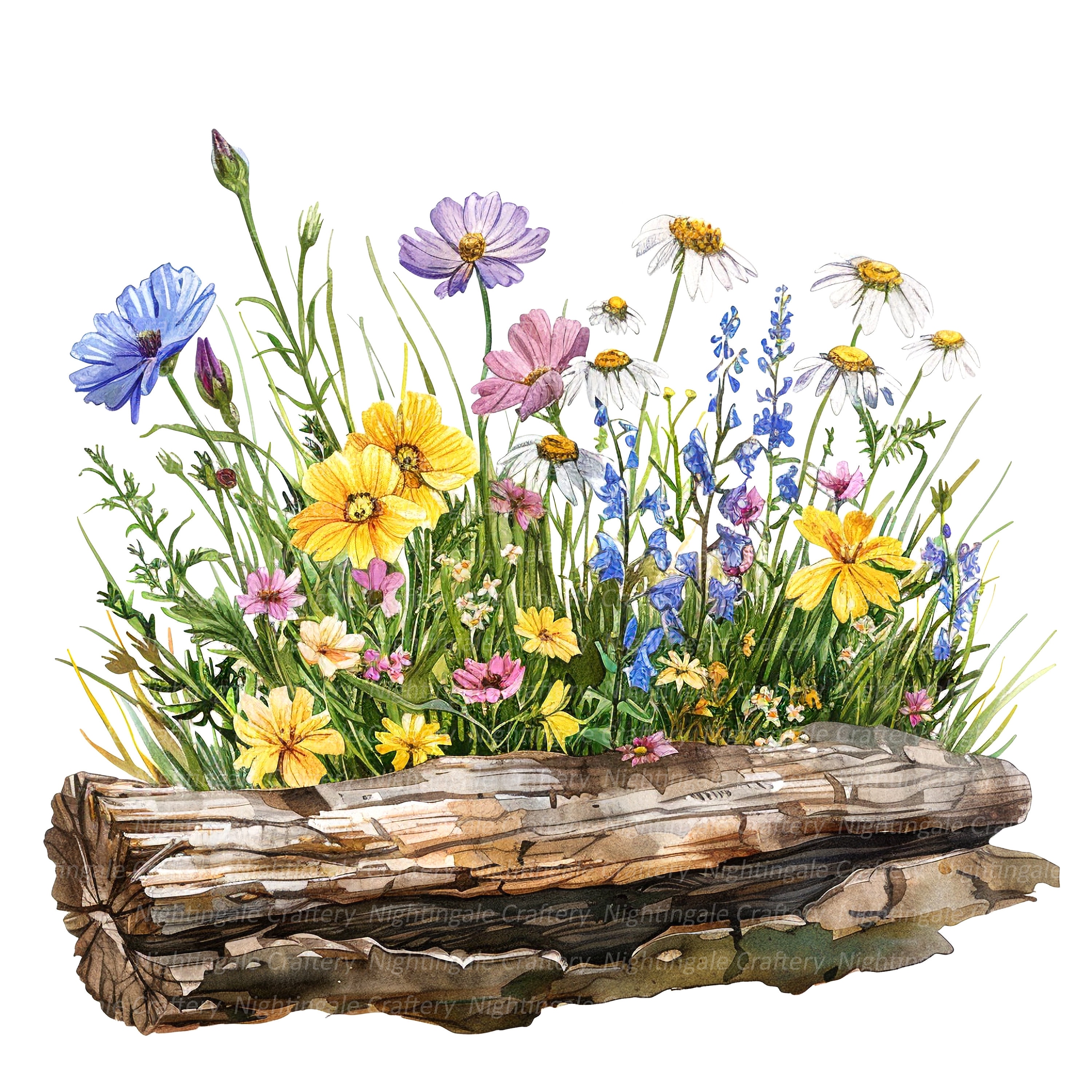 12 Wildblumen auf Log Clipart Set 2, Wildblumen, druckbare Aquarell ...