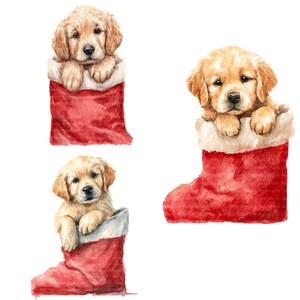 14 Christmas Puppy Clipart, Christmas Stocking, Digital Clipart ...