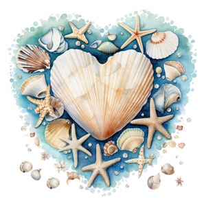 14 Sea Shells Heart Clipart, Seashell Clipart, Printable Watercolor ...