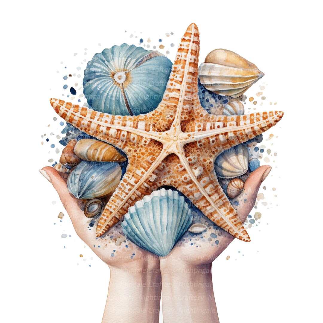 16 Seashells in Hands Clipart, Seashell Clipart, Printable Watercolor ...