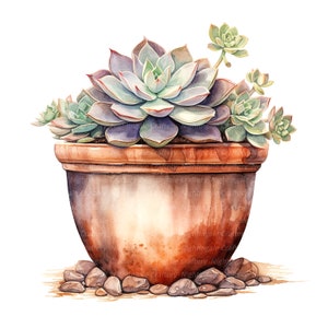 16 Various Flower Pots Clipart, Succulents, Printable Watercolor ...