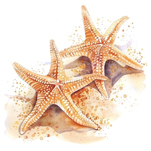 12 Starfish Clipart, Starfish in Beach, Printable Watercolor Clipart ...