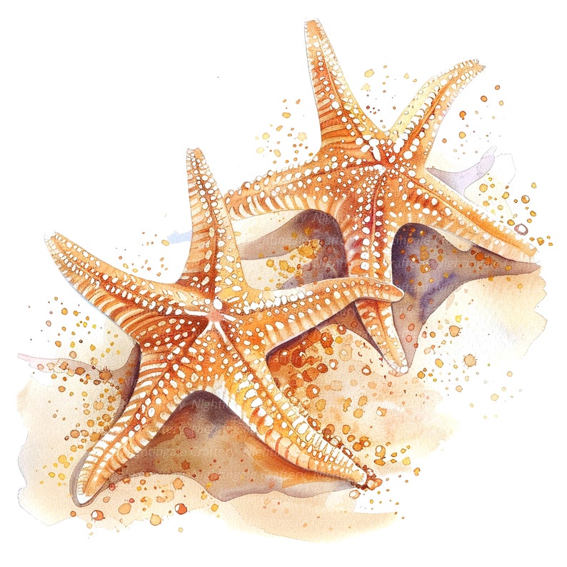 12 Starfish Clipart, Starfish in Beach, Printable Watercolor Clipart ...