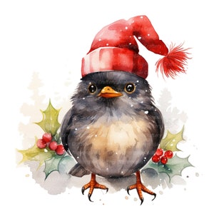 12 Christmas Blackbird Clipart, Black Bird, Printable Watercolor ...