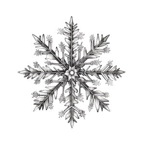 14 Black White Snowflakes Clipart, Christmas Print, Printable ...