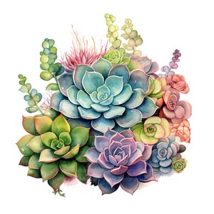 12 Potted Succulents Clipart, Succulent Pot, Printable Watercolor ...