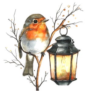12 Robin and Lantern Clipart, Christmas Robin, Printable Watercolor ...