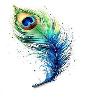 10 Peacock Feather Clipart, Gorgeous Peacock, Printable Watercolor ...