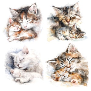 16 Sleeping Cat Clipart, Lovely Kittens Clipart, Printable Watercolor ...