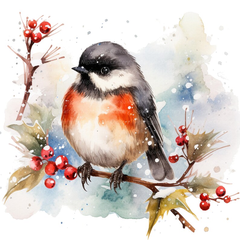 12 Special Christmas Robin Clipart, Printable Watercolor Clipart, High ...