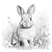 12 Bunny Black White Clipart, Line Art Clipart, Printable Watercolor ...