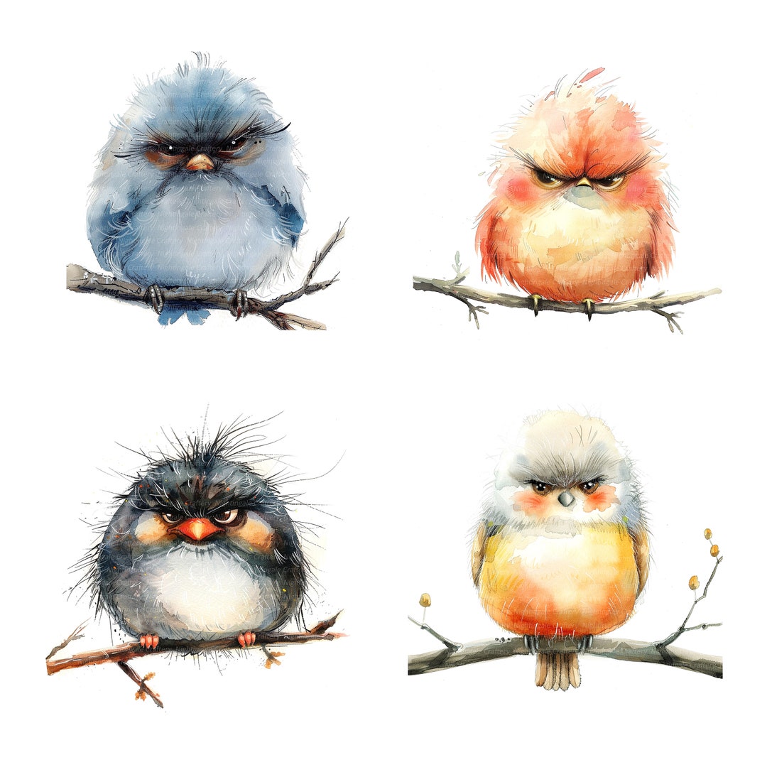 16 Grumpy Bird on Branch Clipart, Digital Clipart, Watercolor Clipart ...