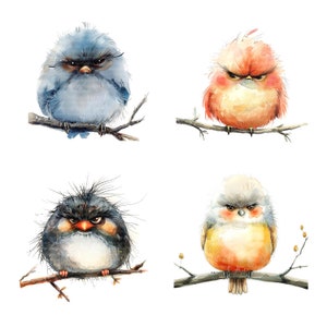16 Grumpy Bird on Branch Clipart, Digital Clipart, Watercolor Clipart ...