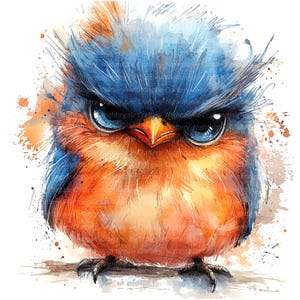 10 Grumpy Bird Clipart, Christmas Robin Bird, Printable Watercolor ...