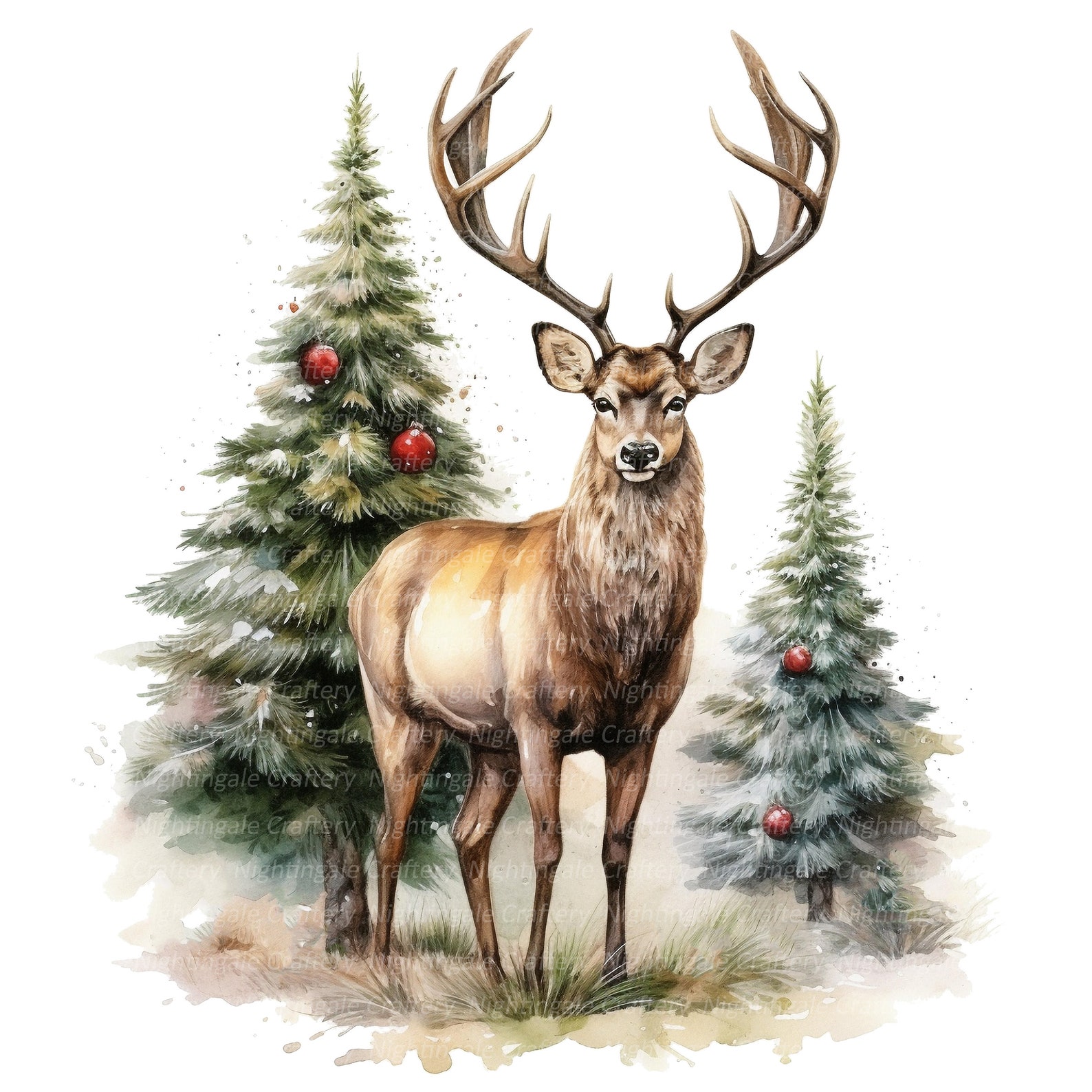 14 Christmas Deer Clipart, Reindeer, Elk, Printable Watercolor Clipart ...