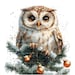 11 Christmas Owl Clipart, Christmas Card, Printable Watercolor Clipart ...