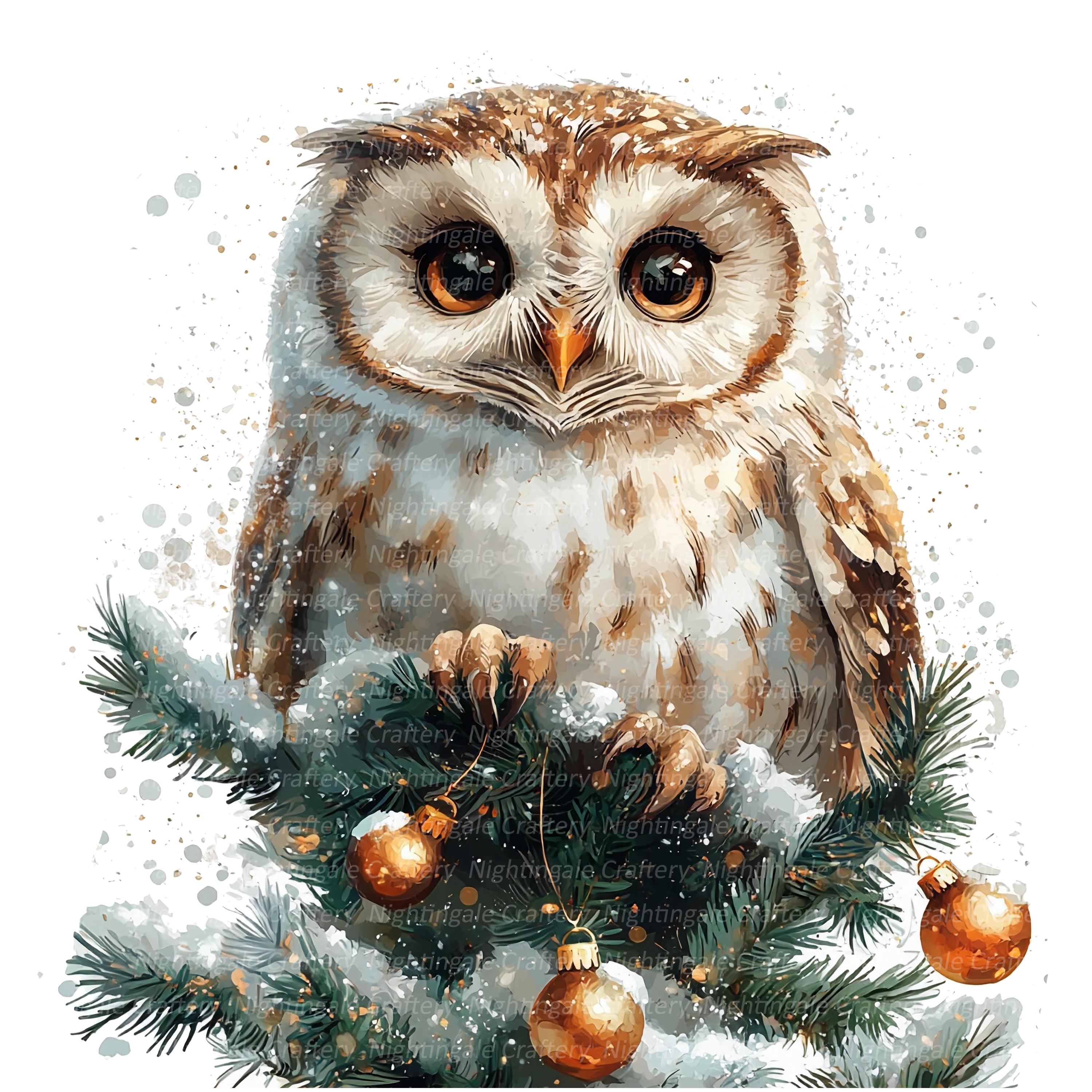 11 Christmas Owl Clipart, Christmas Card, Printable Watercolor Clipart ...