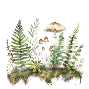 10 Botanical Ferns Clipart, Fern Moss Decor, Printable Watercolor ...