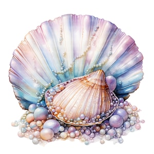12 Sea Shells Pearls Clipart, Seashell Clipart, Printable Watercolor ...