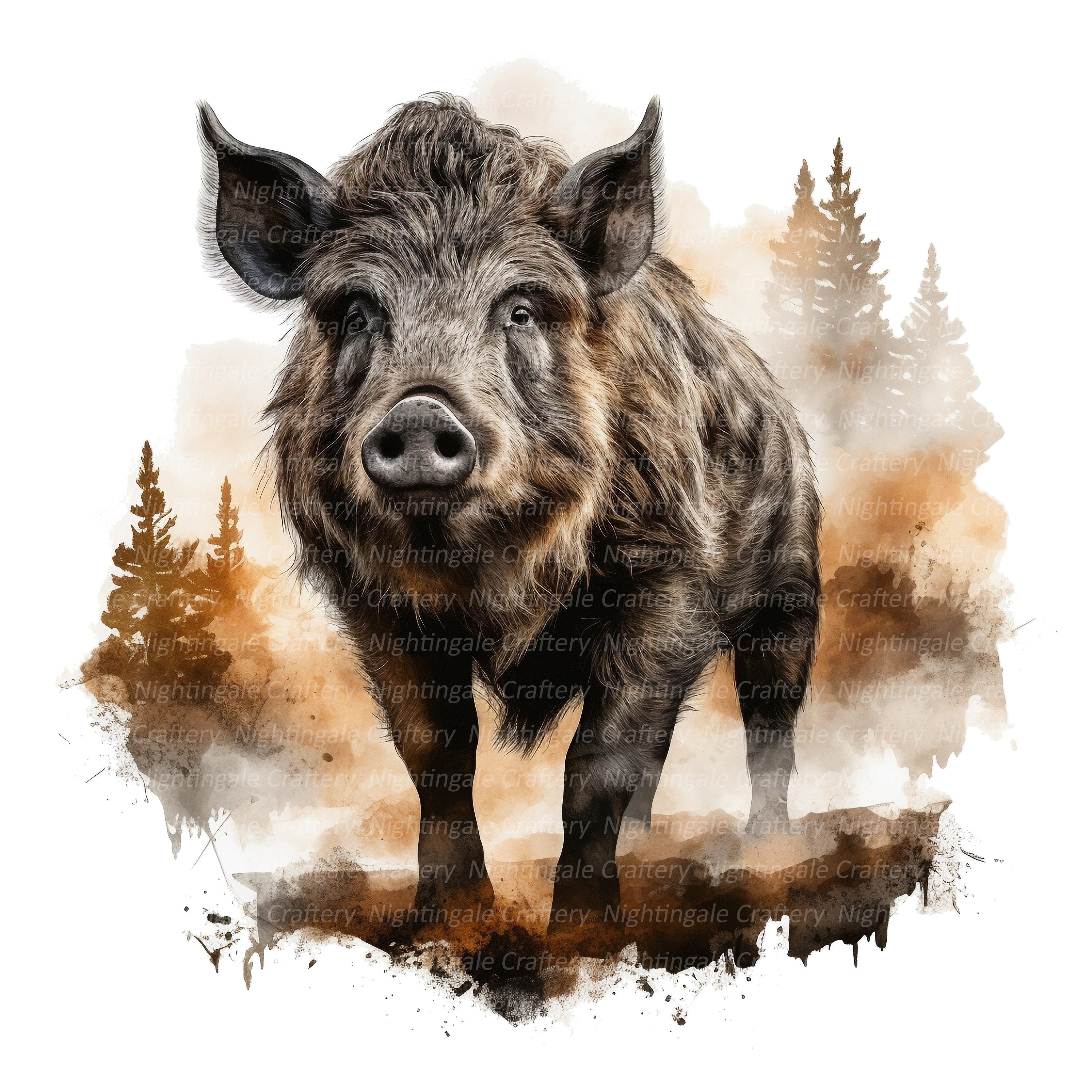 12 Wild Boar in Sunset Clipart, Printable Watercolor Clipart, High ...