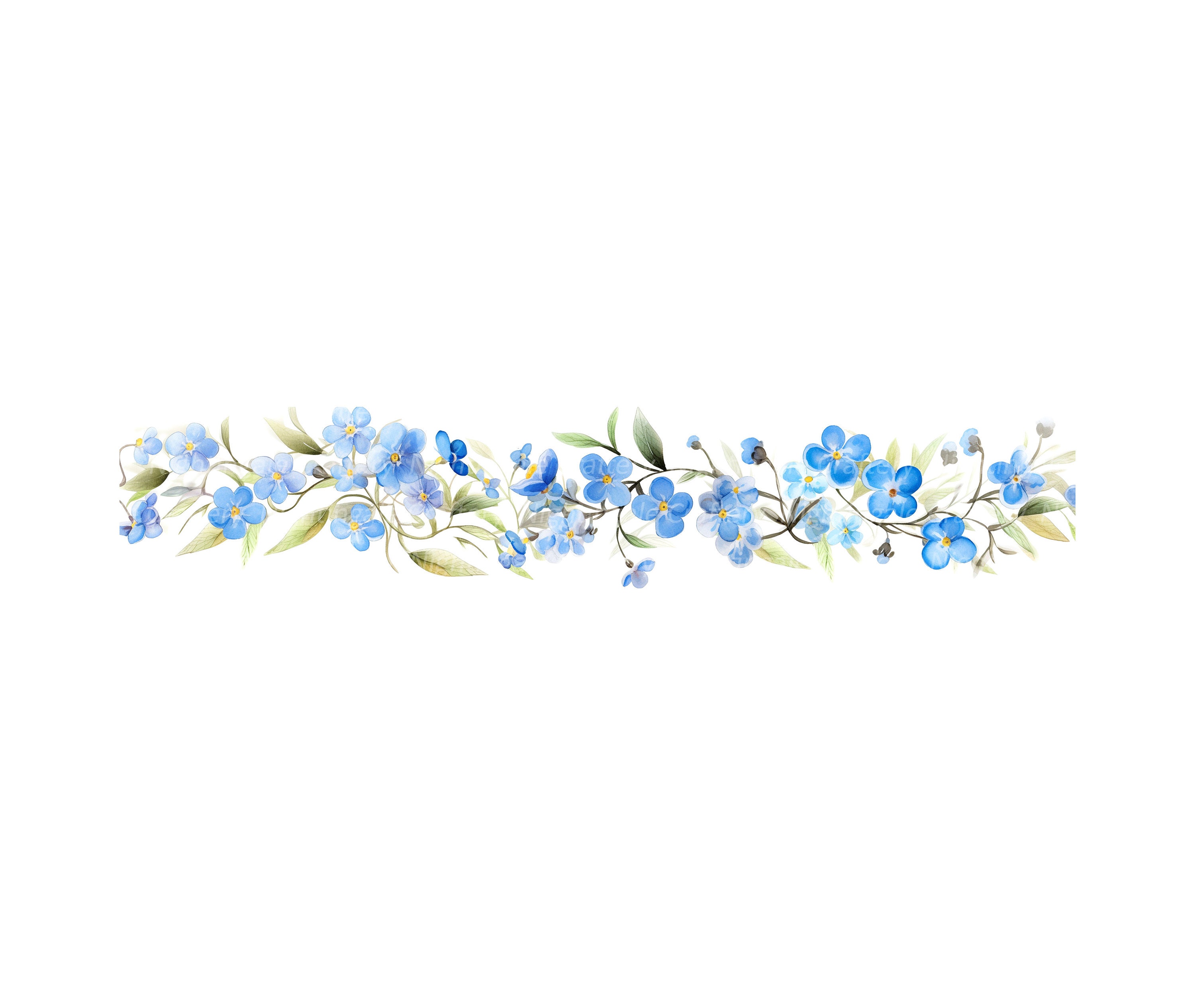 Floral Border Forget Me Not Border Digital Clipart - Etsy