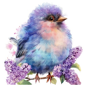 10 Whimsical Birds Clipart, Lilac Clipart, Digital Clipart, Watercolor ...