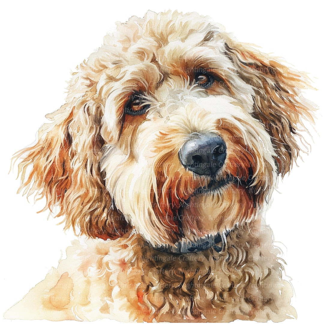 10 Goldendoodle Clipart, Watercolor Goldendoodle, Printable Watercolor ...