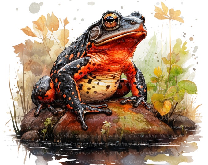Cute Toad Clipart Set Bundle, 10 High-quality Images, Apparel, Paper ...