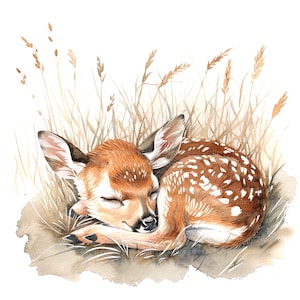 8 Baby Fawn Sleeping Clipart, Fawn Clipart, Printable Watercolor ...