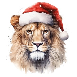 12 Lion With Santa Hat Clipart, Lion Clipart, Printable Watercolor ...