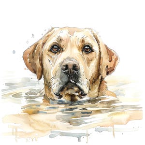 12 Golden Labrador Swimming Clipart, Dog Swim, Printable Watercolor ...