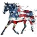 12 Patriotic Horse Clipart, USA Flag Clipart, Printable Watercolor ...