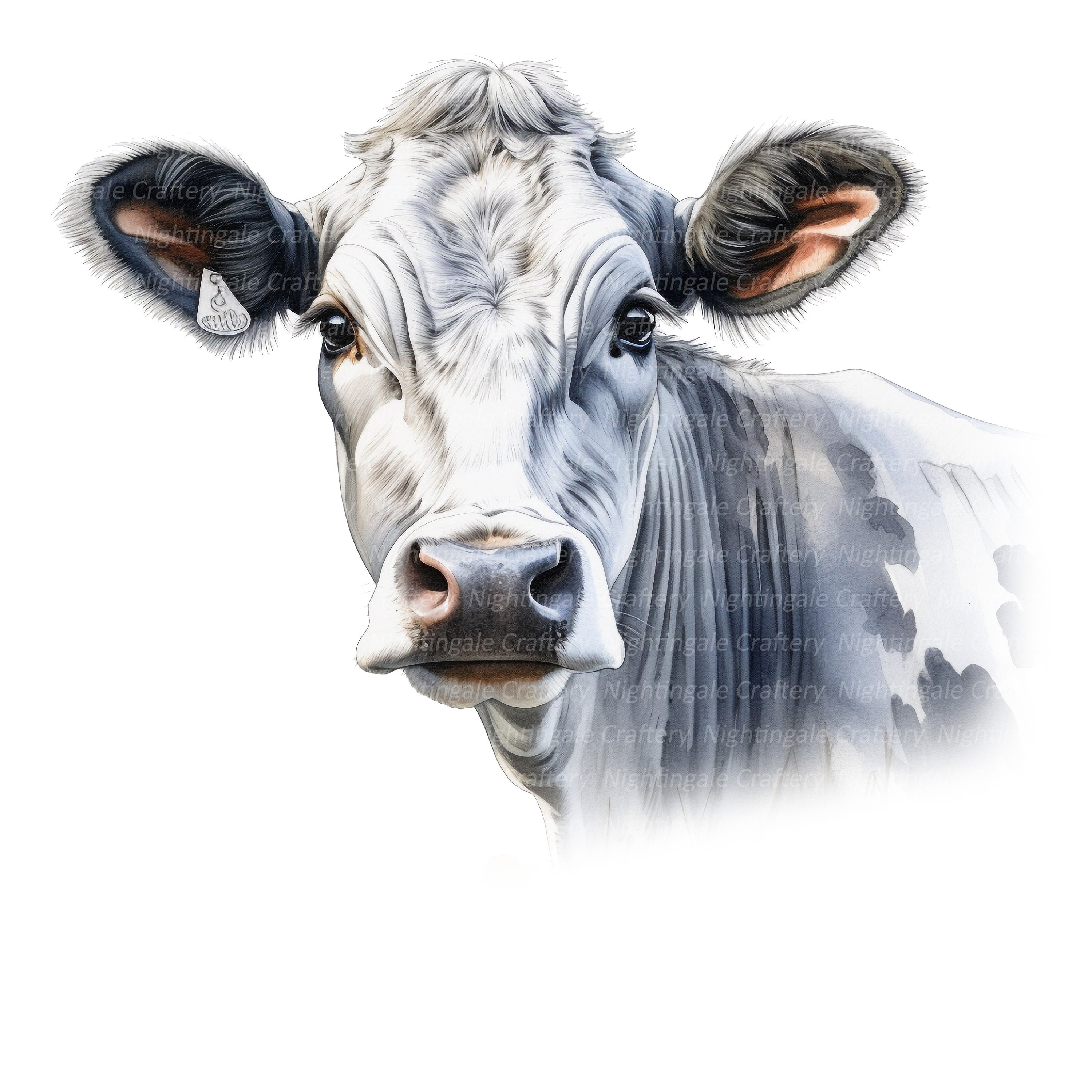 14 Cow Clipart Farm Clipart Printable Watercolor Clipart - Etsy Australia