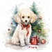 14 Christmas Poodle Clipart, Pudel, Printable Watercolor Clipart, High ...