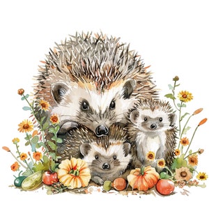 12 Hedgehog Family Clipart, Hedgehog Clipart, Printable Watercolor ...