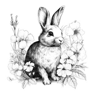 10 Bunny Black Ink Clipart, Line Art Clipart, Printable Watercolor ...