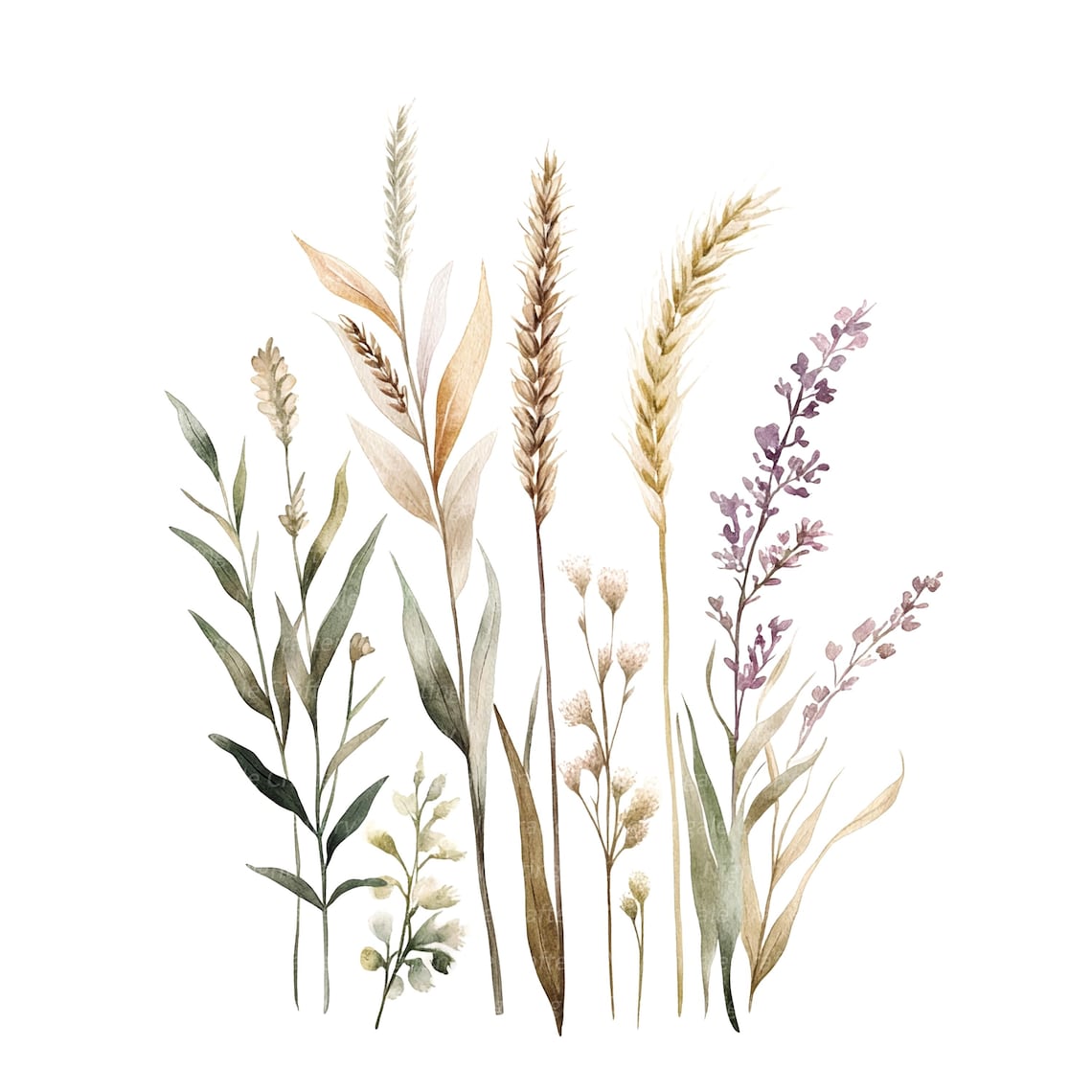 11 Boho Wheat Barley Stalks, Wheat Wall Art, High Quality JPG/PNG ...