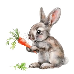 8 Bunny With Carrot Clipart, Cartoon Bunny, Printable Watercolor ...