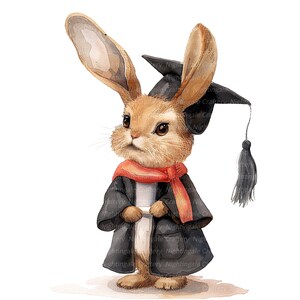 13 Graduation Bunny Clipart, Rabbit Clipart, Printable Watercolor ...